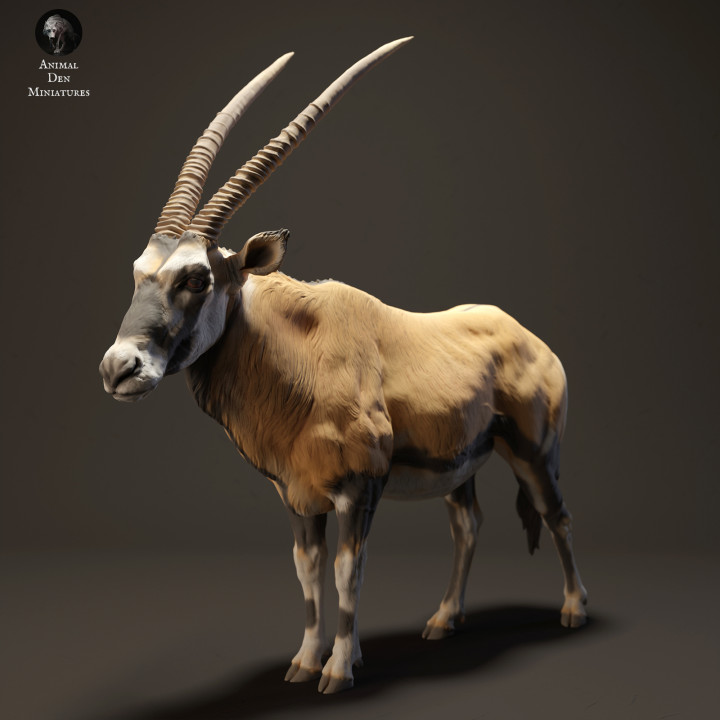 3D Printable Gemsbok by Animal Den Miniatures