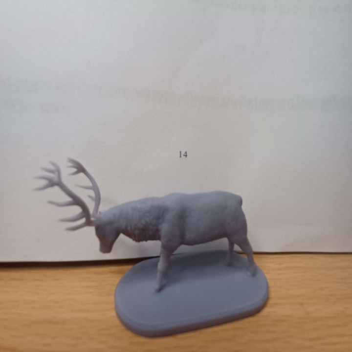 3D Printable Stag Set by Snowball Sculpts