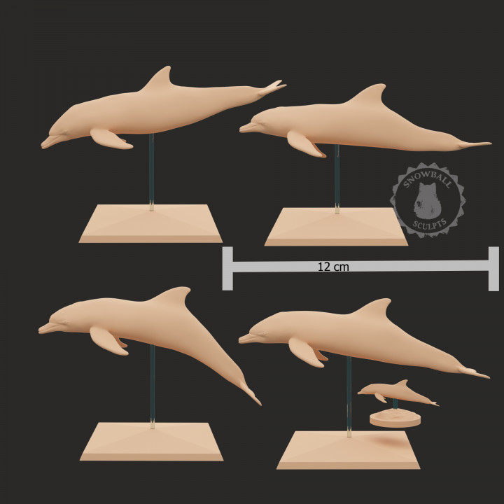 3D Printable Dolphin Set by Snowball Sculpts