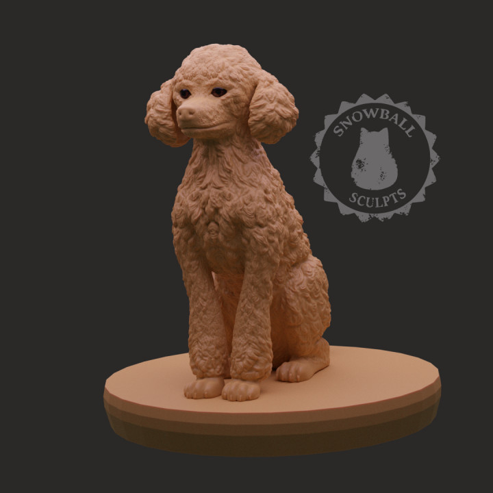 3D Printable Poodle Statue/Miniature by Snowball Sculpts