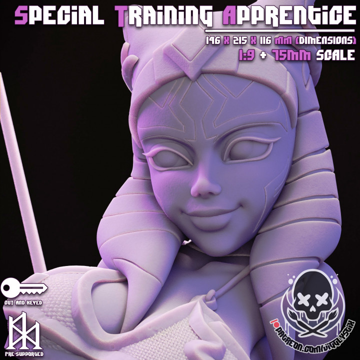 3D Printable Special Training Apprentice by Jigglystix