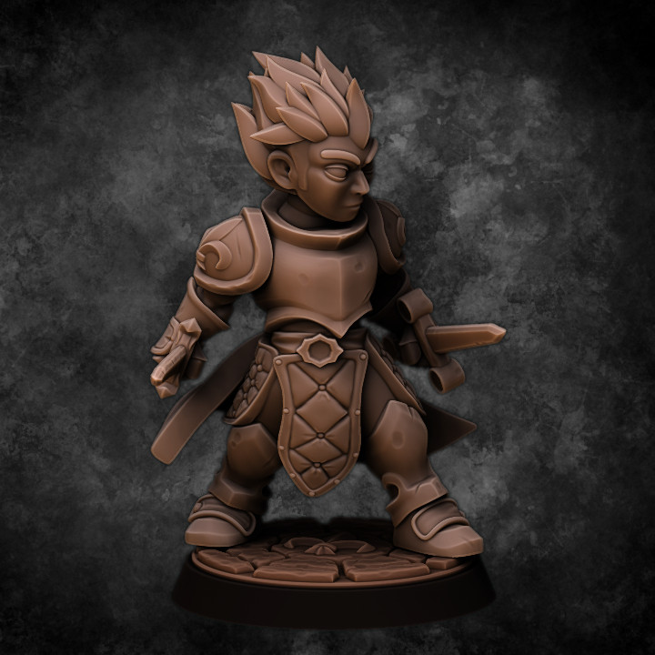 3D Printable Modular heroes : human paladin by Deathpunk Studio