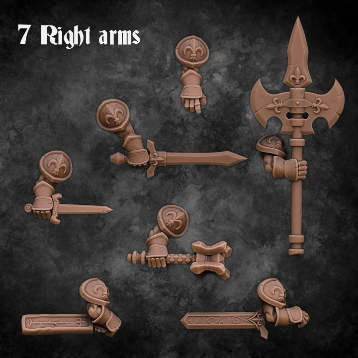 3D Printable Modular heroes : human paladin by Deathpunk Studio