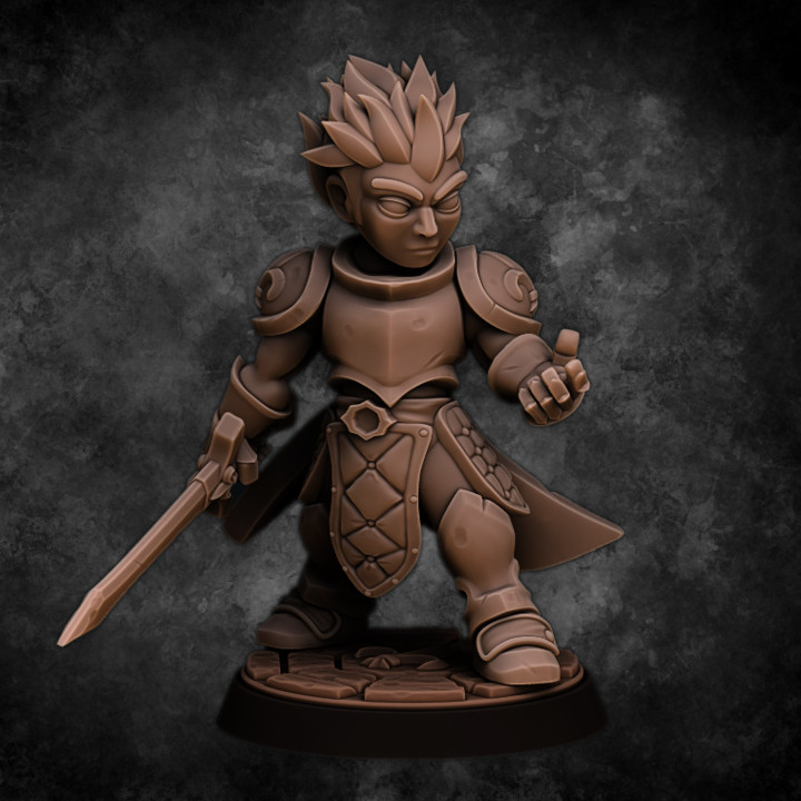 3D Printable Modular heroes : human paladin by Deathpunk Studio