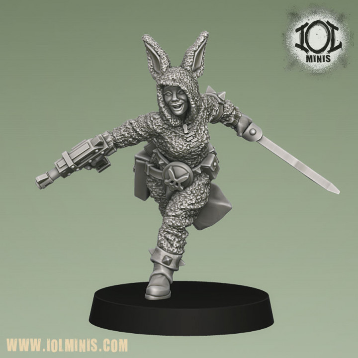 3D Printable Bunny Clan - Luna the Loon by Imitation of Life Miniatures