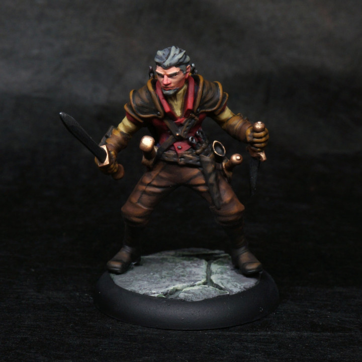 3D Print of Human Rogue (PRESUPPORTED) by doctorfaust1