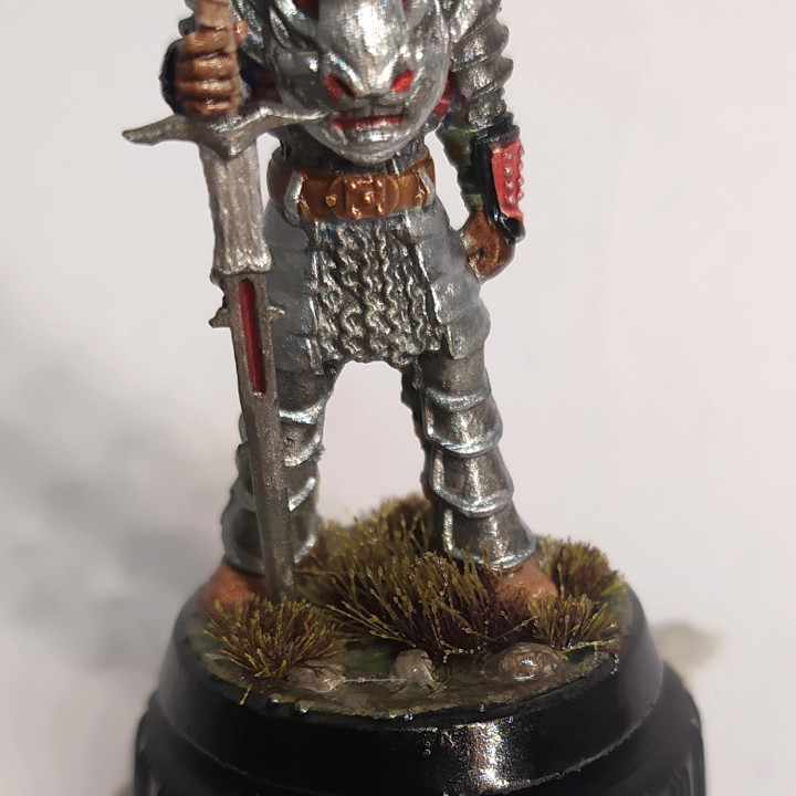 3D Print of Thorus Guard Gothic by SimonSchwarzwald