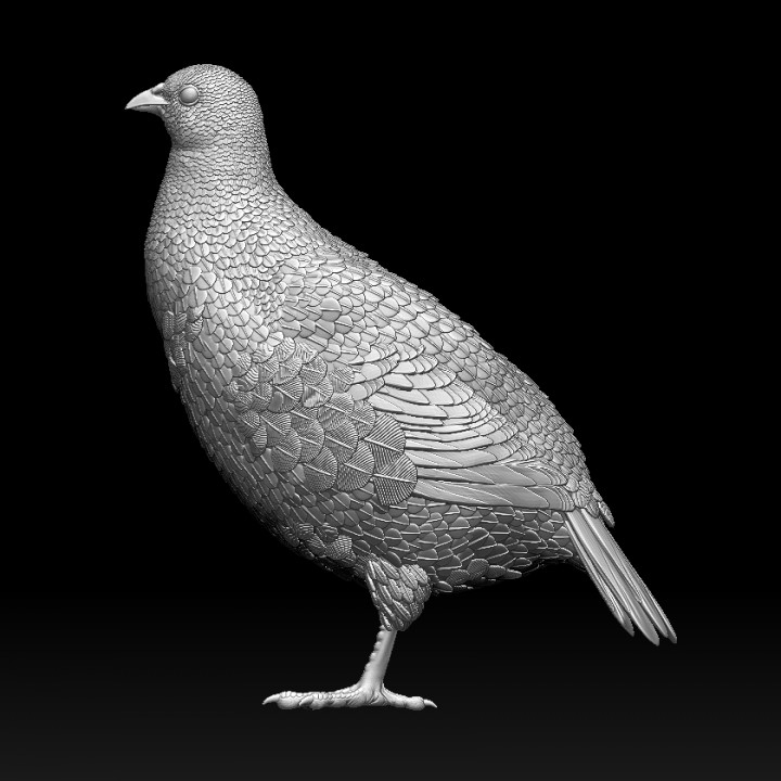 3D Printable partridge by Dmitry Tishchenkov