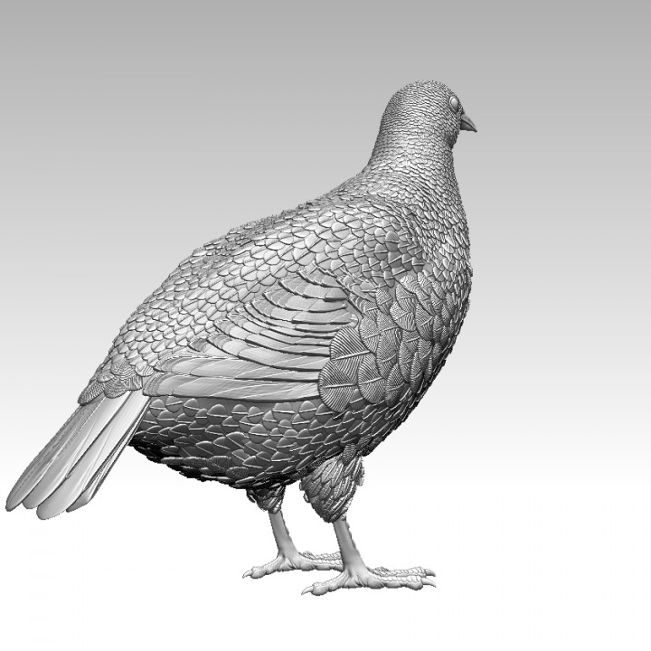 3D Printable partridge by Dmitry Tishchenkov