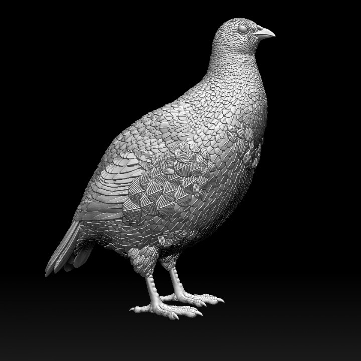 3D Printable partridge by Dmitry Tishchenkov