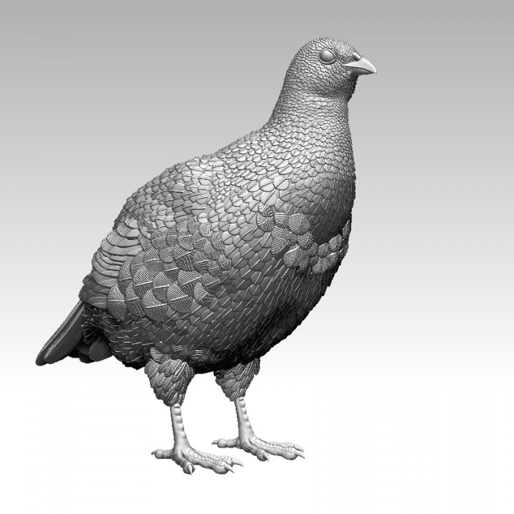 3D Printable partridge by Dmitry Tishchenkov