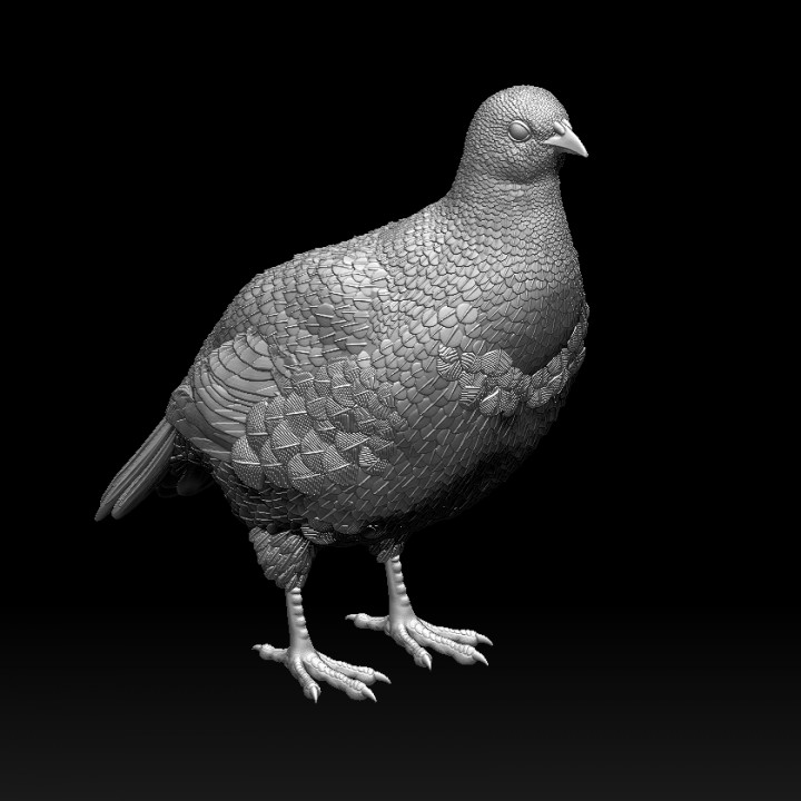3D Printable partridge by Dmitry Tishchenkov