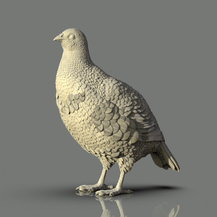 3D Printable partridge by Dmitry Tishchenkov