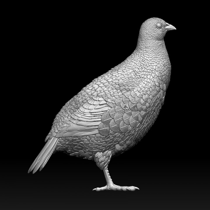 3D Printable partridge by Dmitry Tishchenkov
