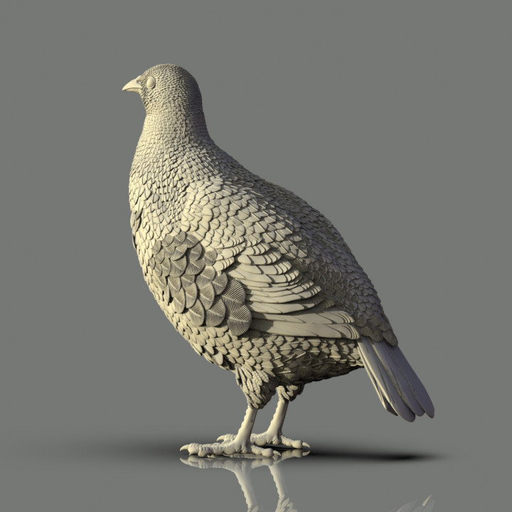 3D Printable partridge by Dmitry Tishchenkov
