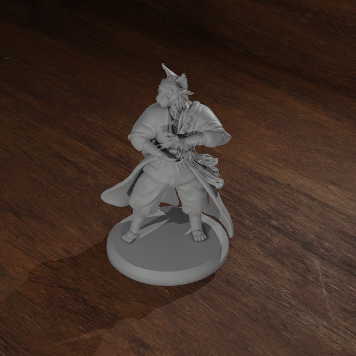 3D Printable Tabaxi Mage by Aranamus