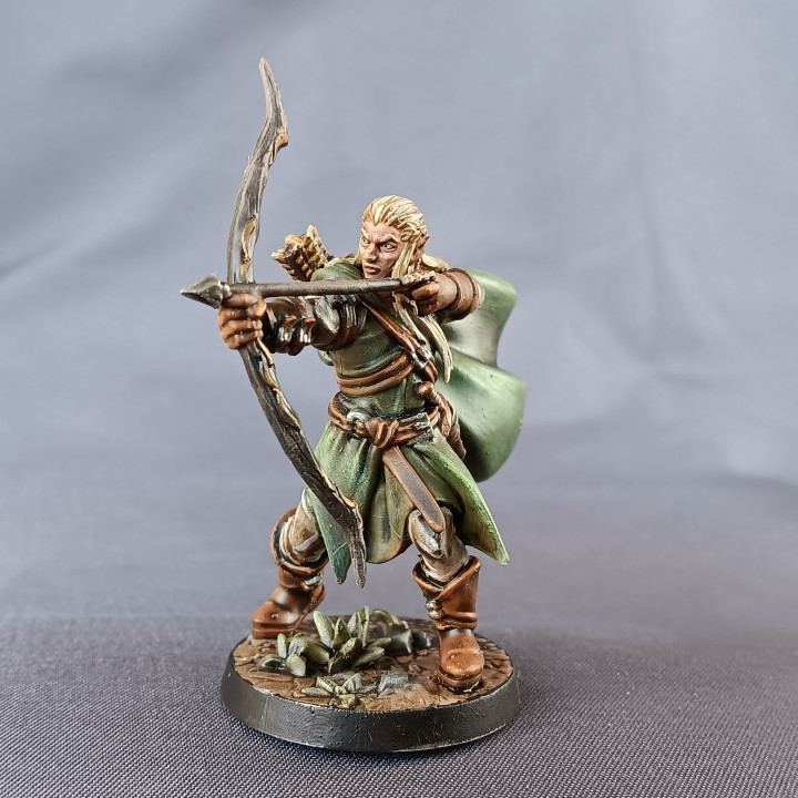 3D Print of Elf Explorer by maximehemion