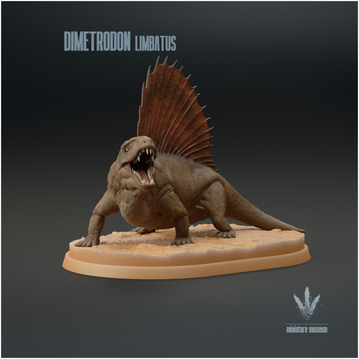 3D Printable Dimetrodon limbatus : Vocalizing by Miniature Museum