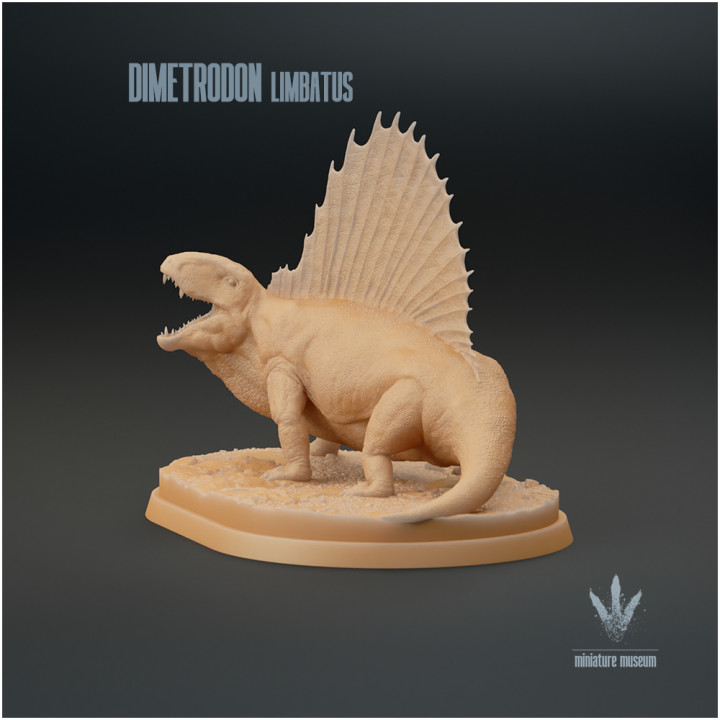 3D Printable Dimetrodon limbatus : Vocalizing by Miniature Museum