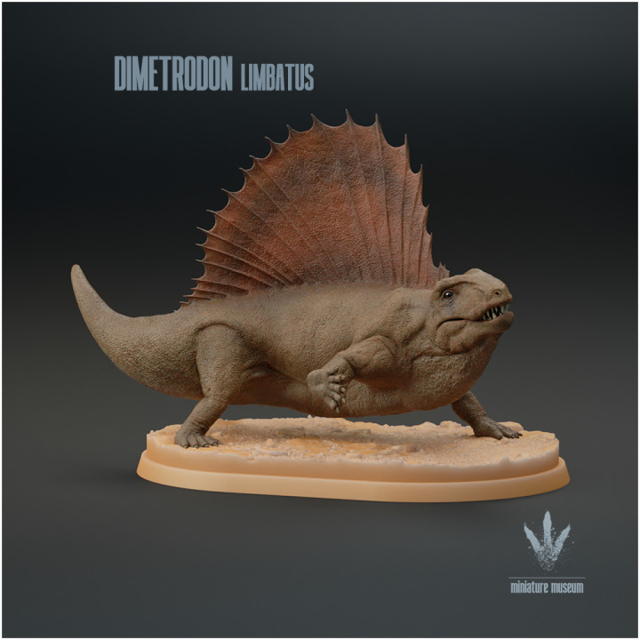 3D Printable Dimetrodon limbatus : Running by Miniature Museum