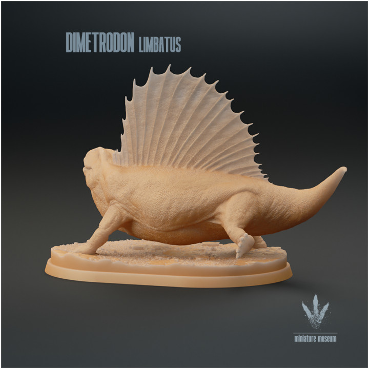3D Printable Dimetrodon limbatus : Running by Miniature Museum