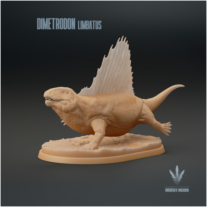3D Printable Dimetrodon limbatus : Running by Miniature Museum