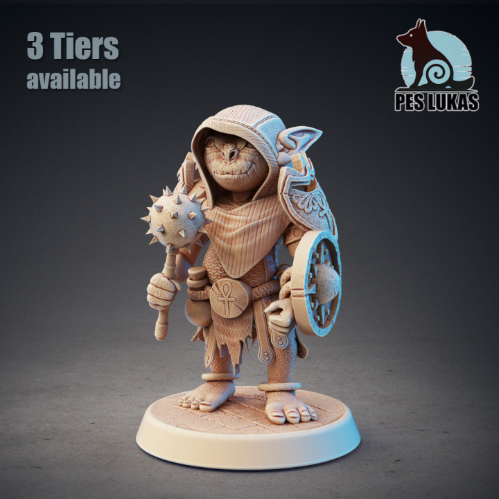 3D Printable Goblin Cleric by Pes Lukas