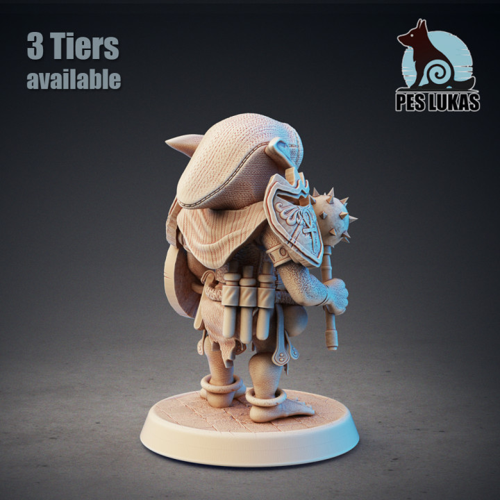 3D Printable Goblin Cleric by Pes Lukas