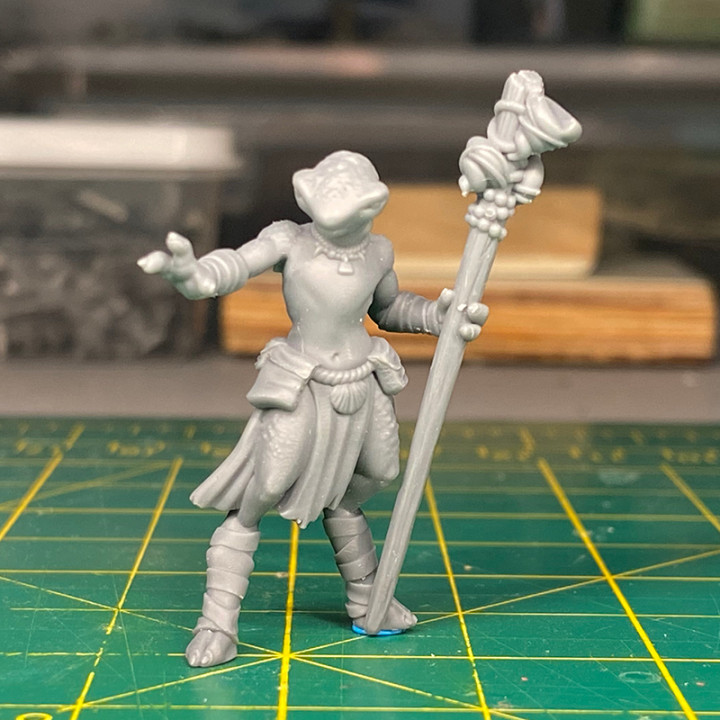 3D Printable Sphyrnida Shark Shaman by Bombshell Miniatures