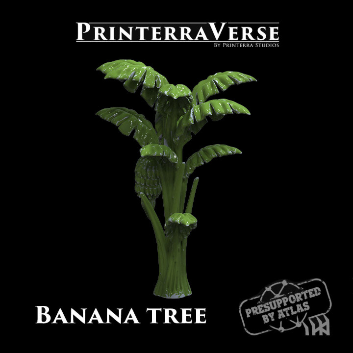 3D Printable 004 PLANT Banana Tree by Printerra Studios