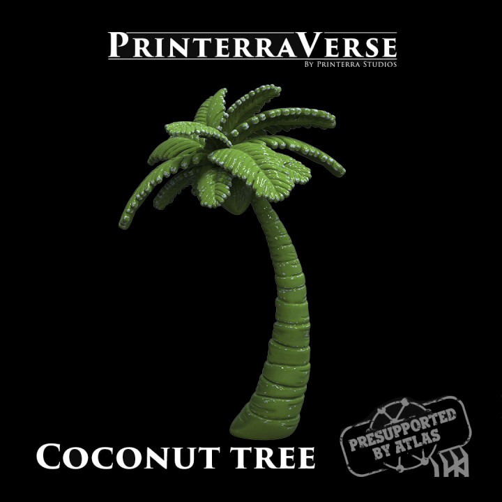 3D Printable 004 PLANT Coconut Tree by Printerra Studios