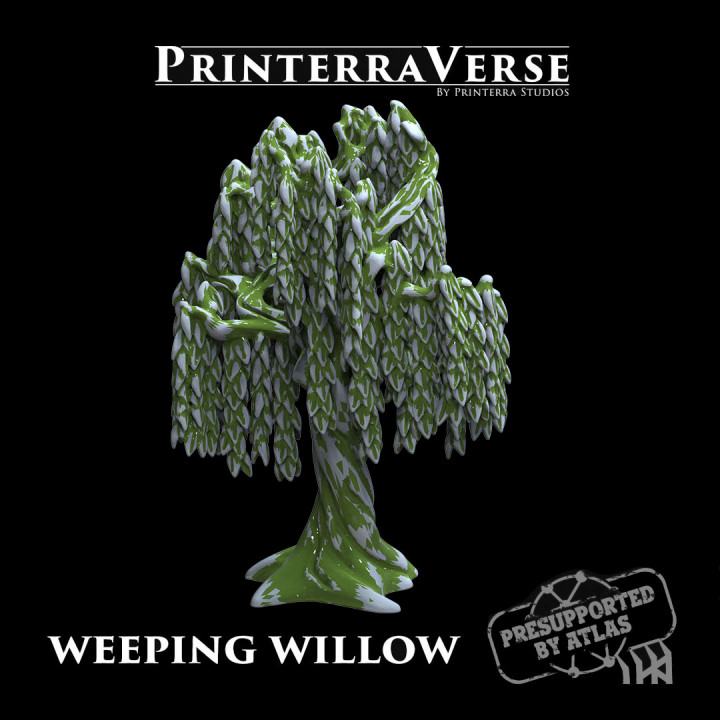 3D Printable 004 PLANT Weeping Willow Tree by Printerra Studios