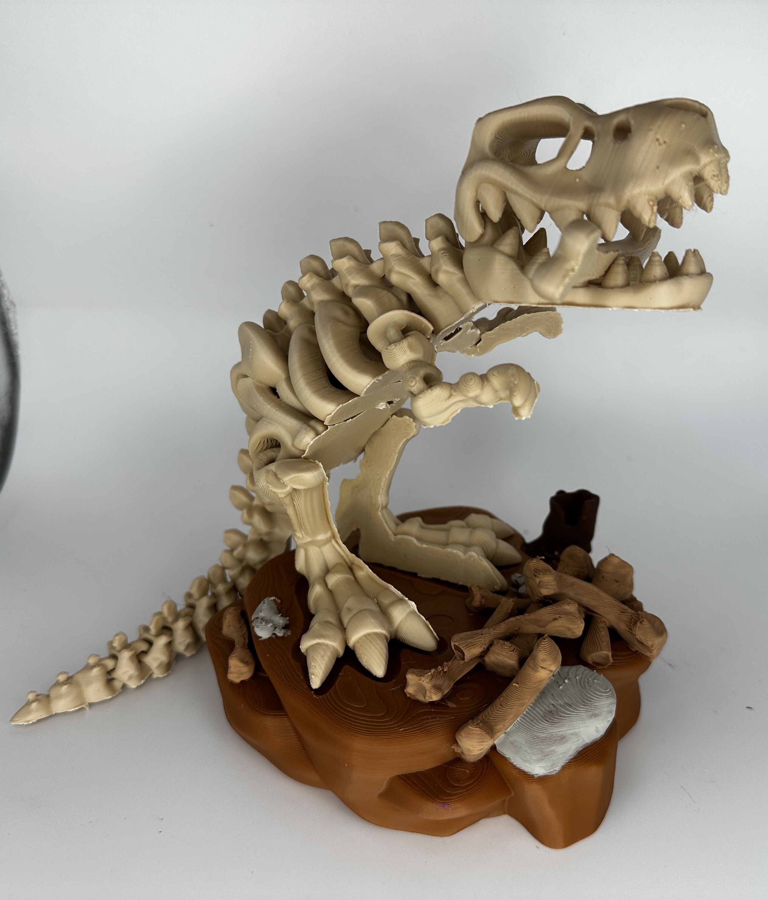 3D Printable Flexi Factory Skeleton T-Rex with 3MF and XXL Versions ...
