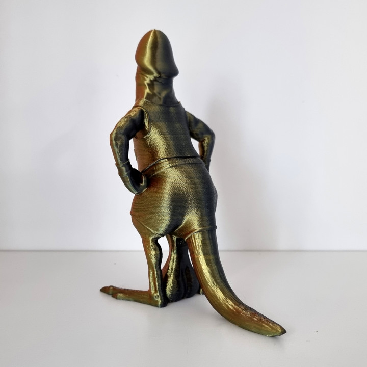 3D Printable Dicky Kangaroo by iradj3d