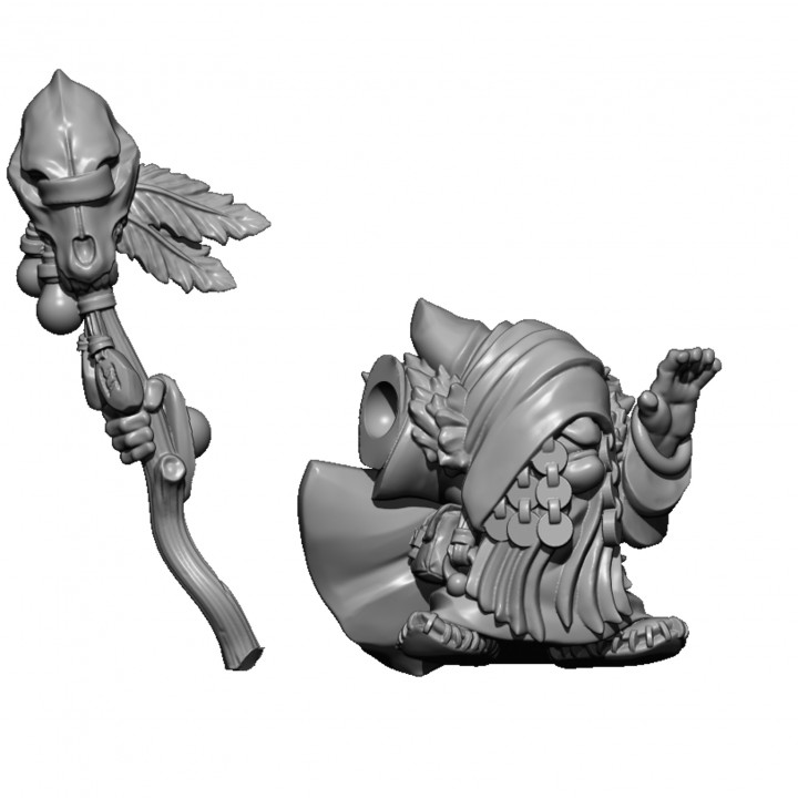 3D Printable Dwarf oracle by MOMminiatures