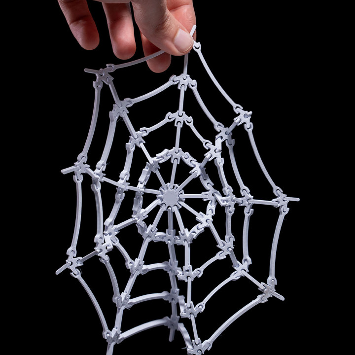 3D Printable The Spider’s Web by Stlflix