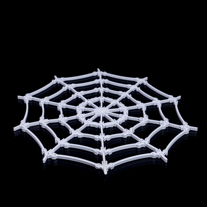 3D Printable The Spider’s Web by Stlflix