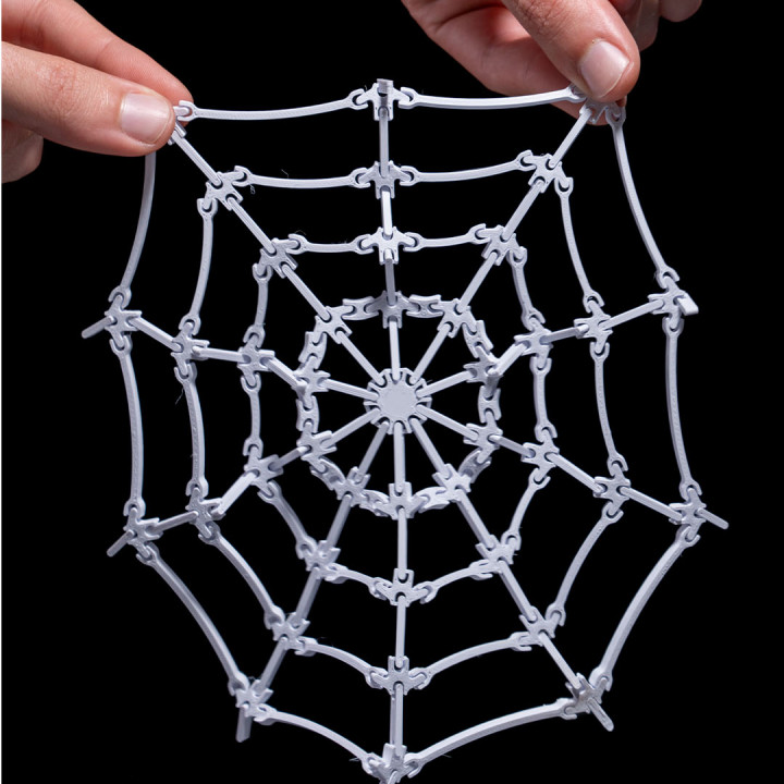 3D Printable The Spider’s Web by Stlflix