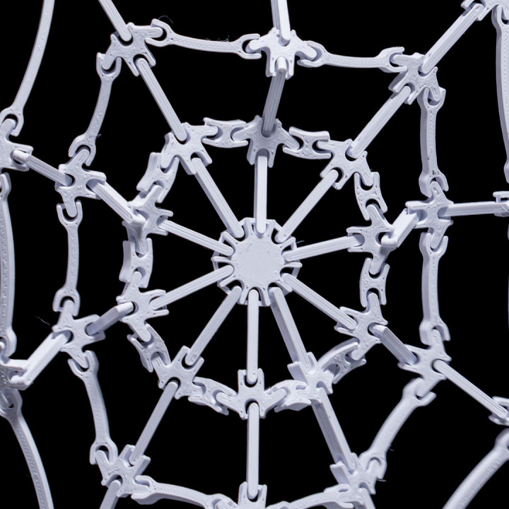 3D Printable The Spider’s Web by Stlflix