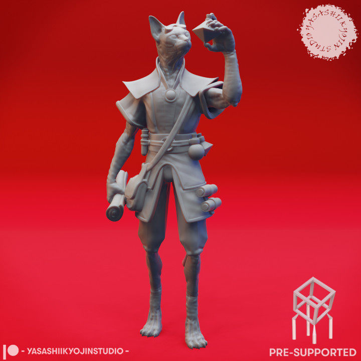 3D Printable Litter of Tabaxi - Tabletop Miniatures (Pre-Supported) by ...