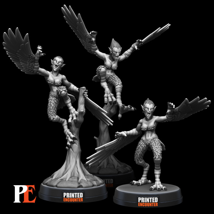 3D Printable Harpy Set by Printed Encounter