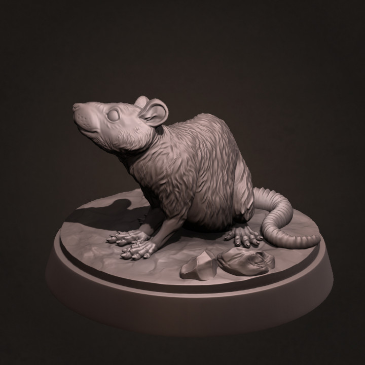 3D Printable Giant rat by Animals & Creatures Minis