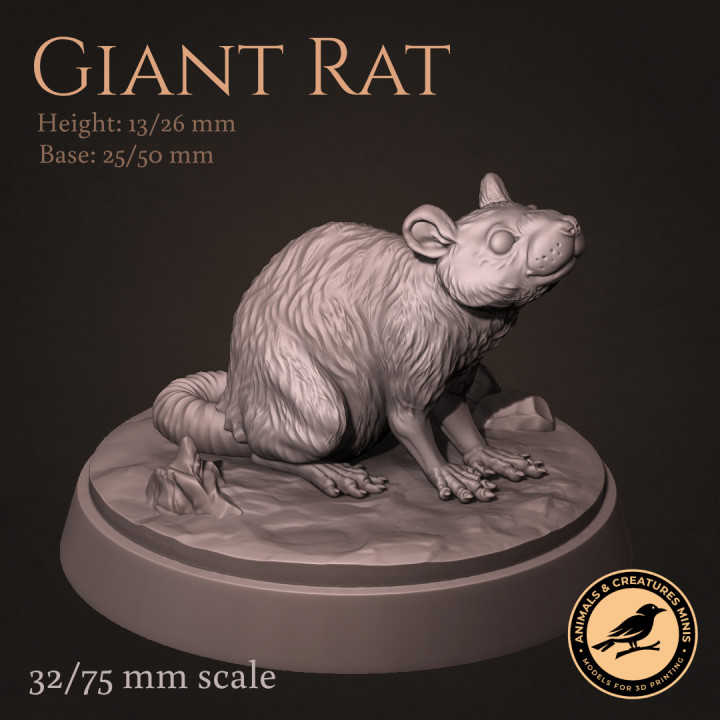 3D Printable Giant rat by Animals & Creatures Minis