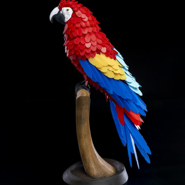 3D Printable Macaw Feather Puzzle by Stlflix