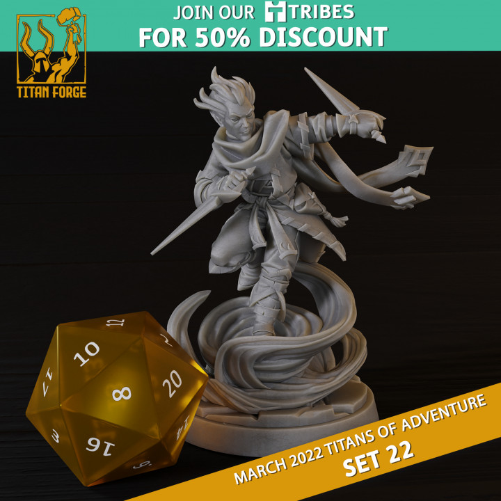 3D Printable Air Genasi Male Rogue - RPG Hero Character D&D 5e - Titans ...