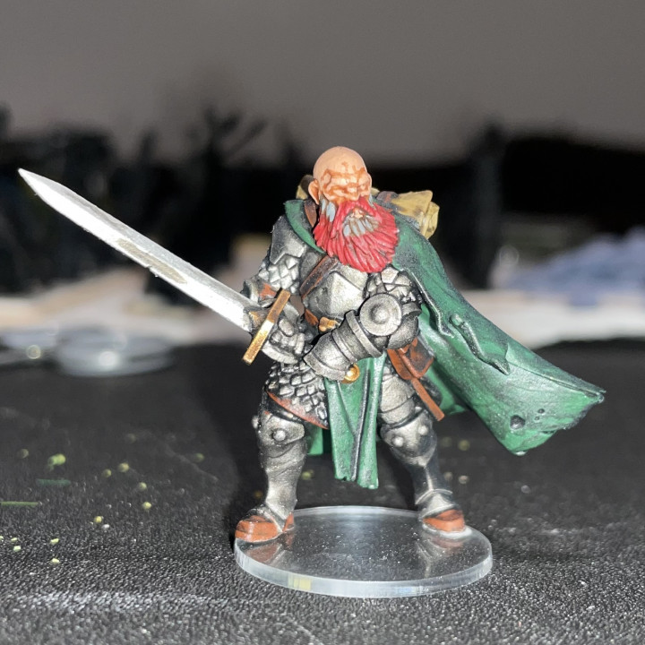 Impression 3D de Human Male Paladin - RPG Hero Character D&D 5e ...