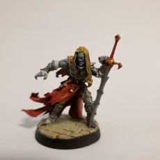 3D Printable Dhampir Male Fighter - RPG Hero Character D&D 5e - Titans ...