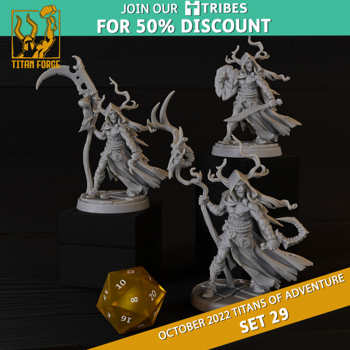 3D Printable Elf Male Druid - RPG Hero Character D&D 5e - Titans of ...