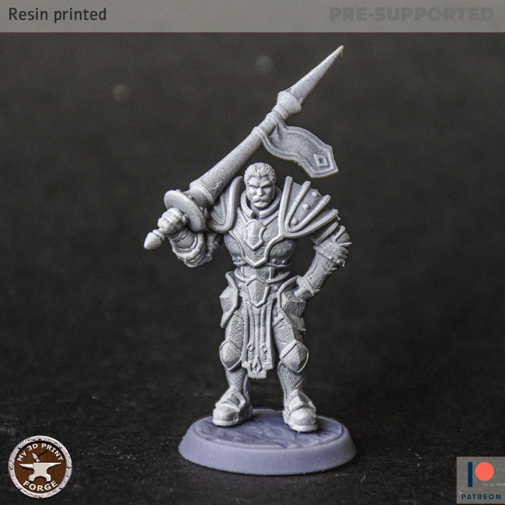3D Printable Knight with Lance by My3DPrintForge