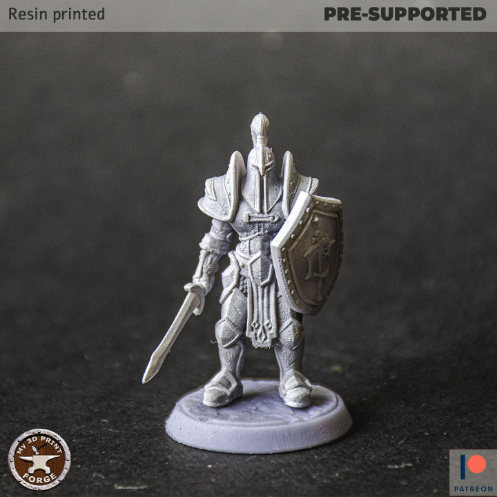 3D Printable Female Footman with Shield by My3DPrintForge